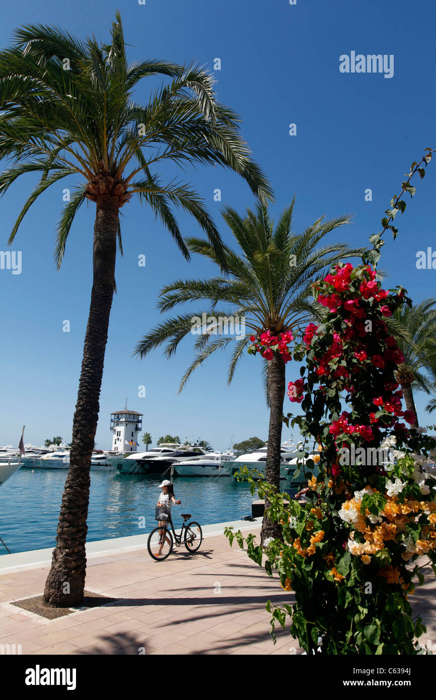 Puerto portals marina hi-res stock photography and images - Alamy