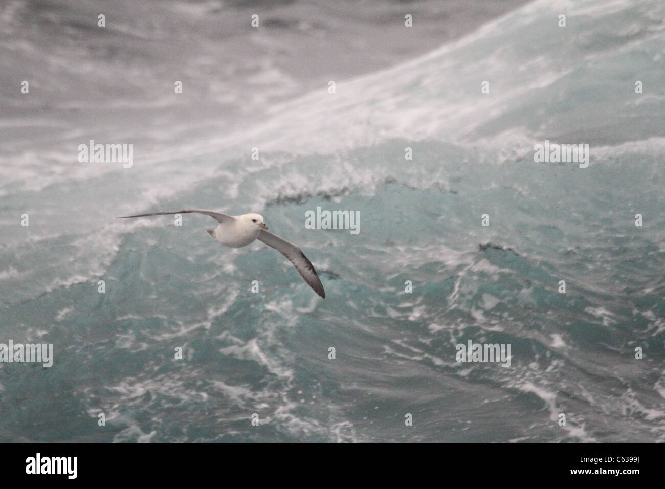 Fulmer hi-res stock photography and images - Alamy