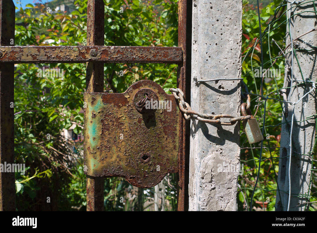 A close up view of a very old and rusted gate lock that has a newer ...