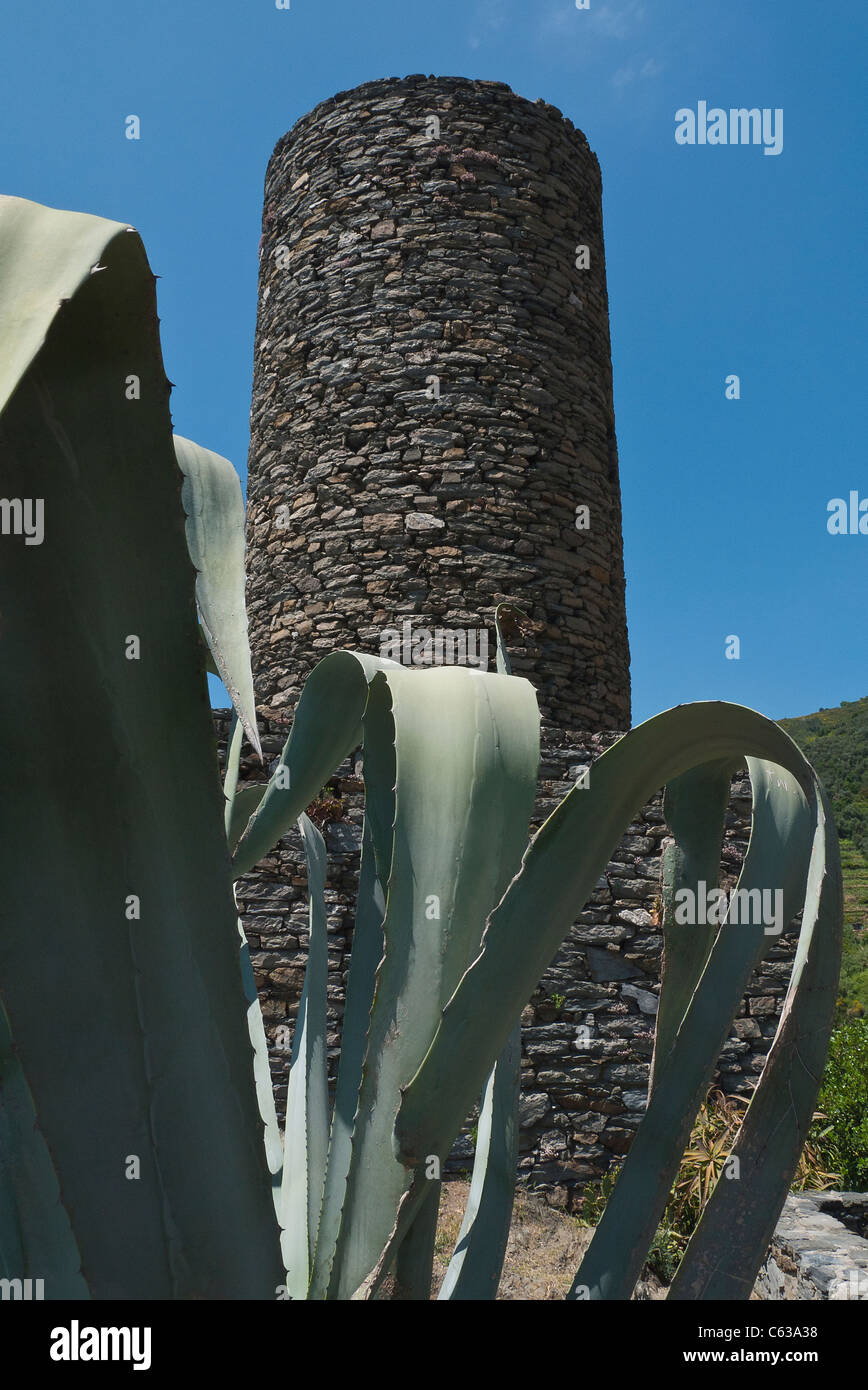 The cylindrical stone tower of the Doria Castle, a fortress built to ...