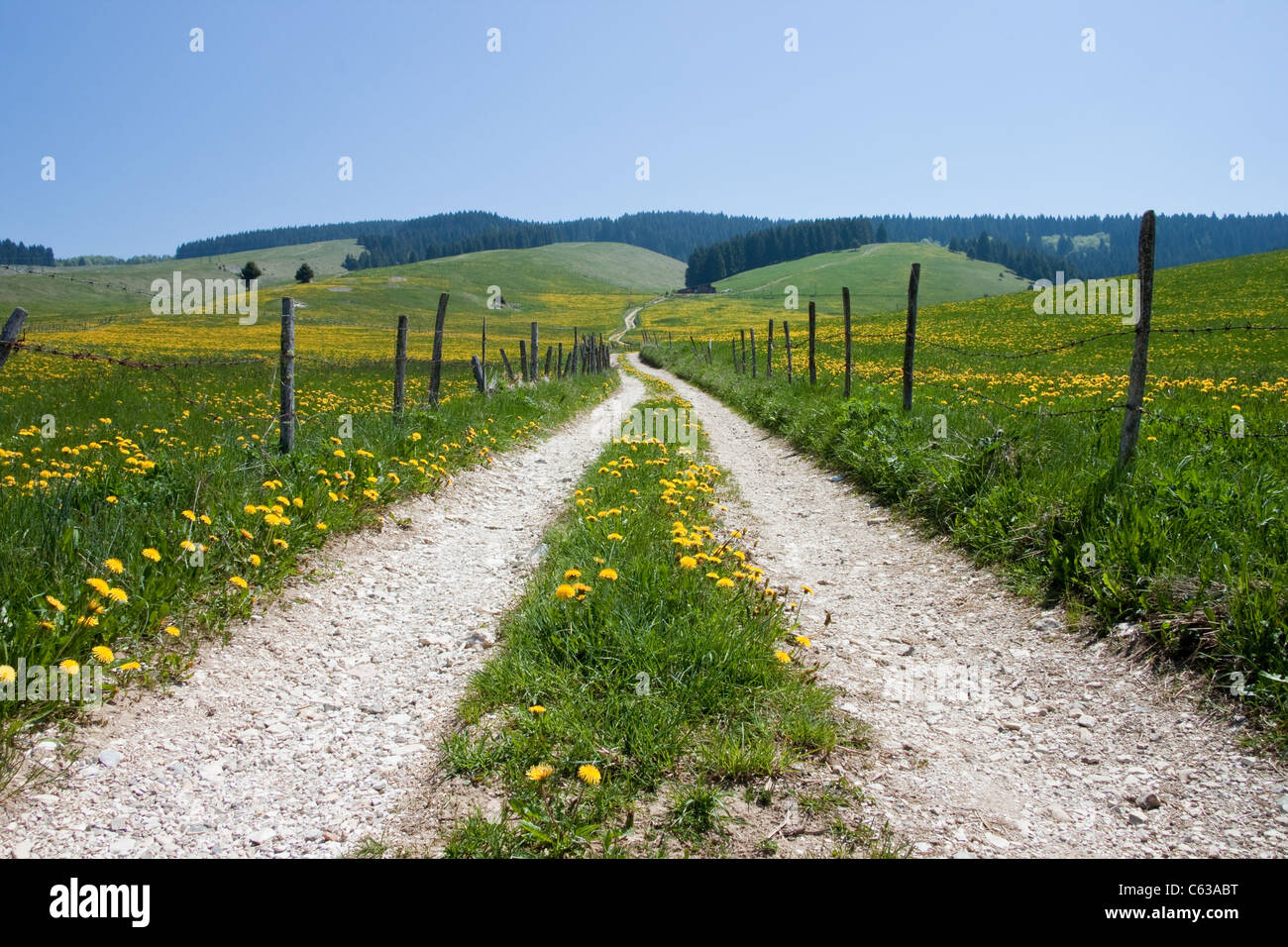 A path goes across the fields in Asiago Stock Photo - Alamy