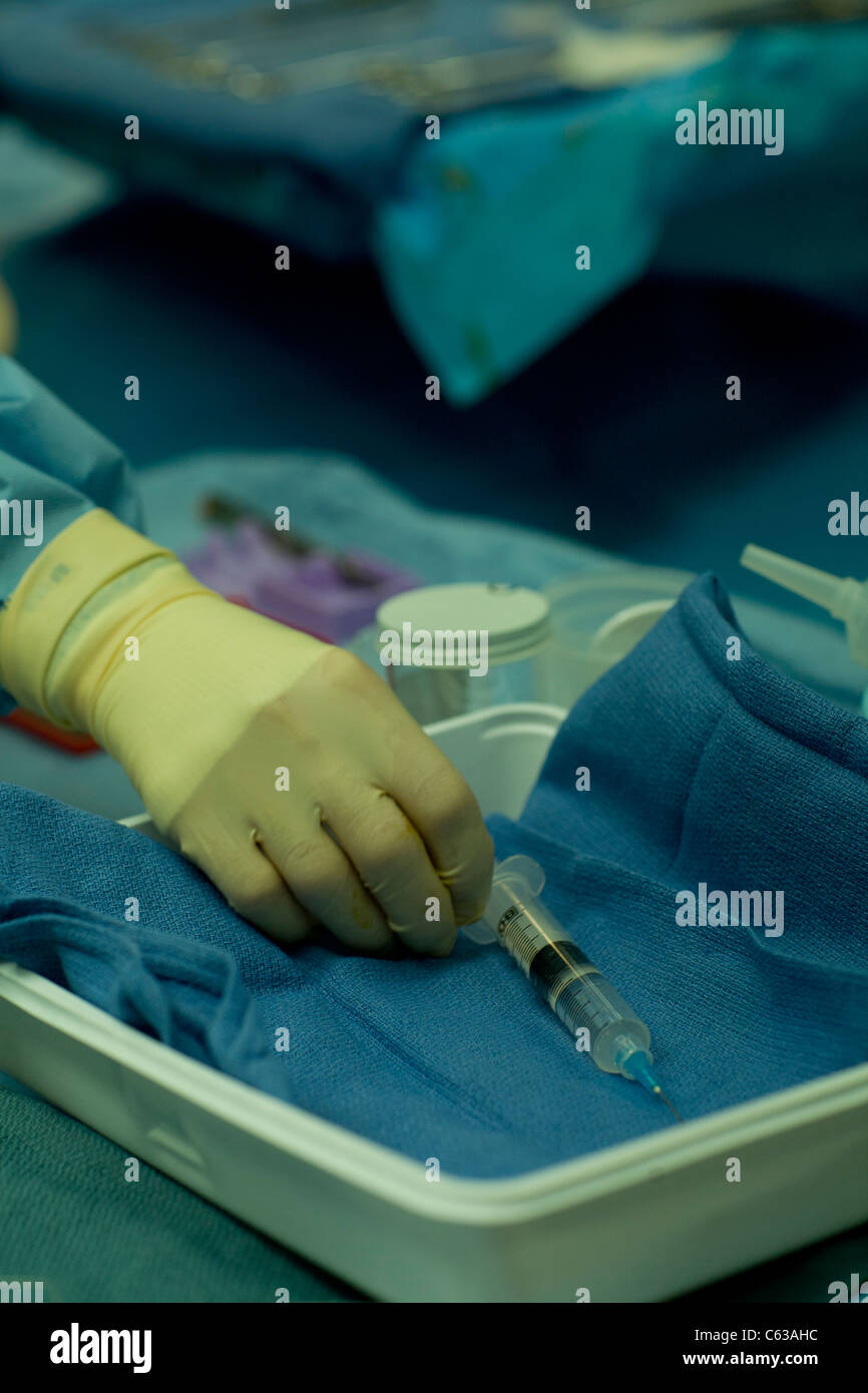 sterile surgical tools on table for surgery, operating room, hospital ...