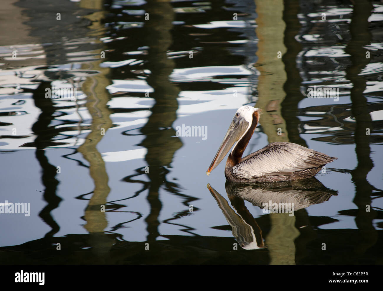 Reflection pier hi-res stock photography and images - Alamy