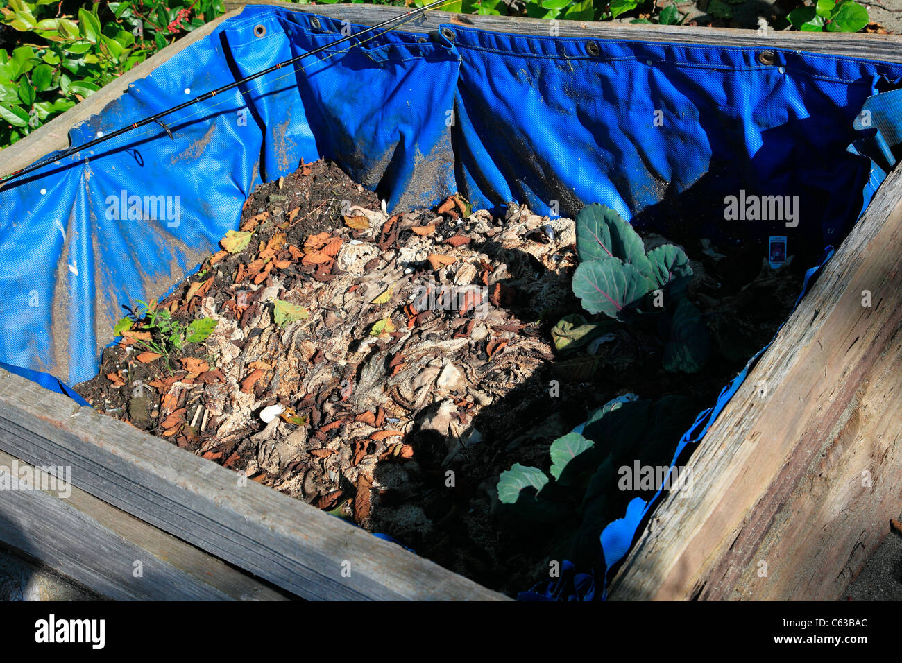 Homemade compost bin with blue tarp liner hi-res stock photography and ...