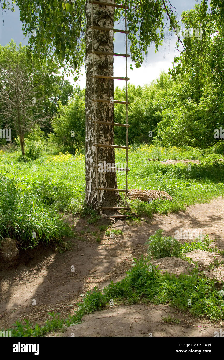 Fixed ladder hi-res stock photography and images - Alamy