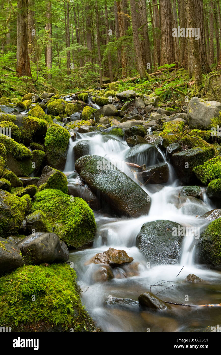 Sol duc hi-res stock photography and images - Alamy
