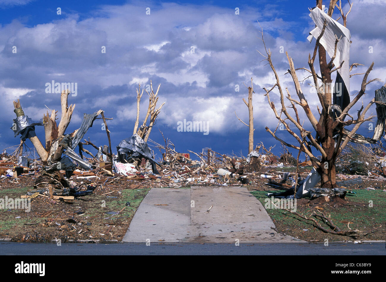 Debris wrapped around debarked trees in Joplin, Missouri, May 25, 2011 ...