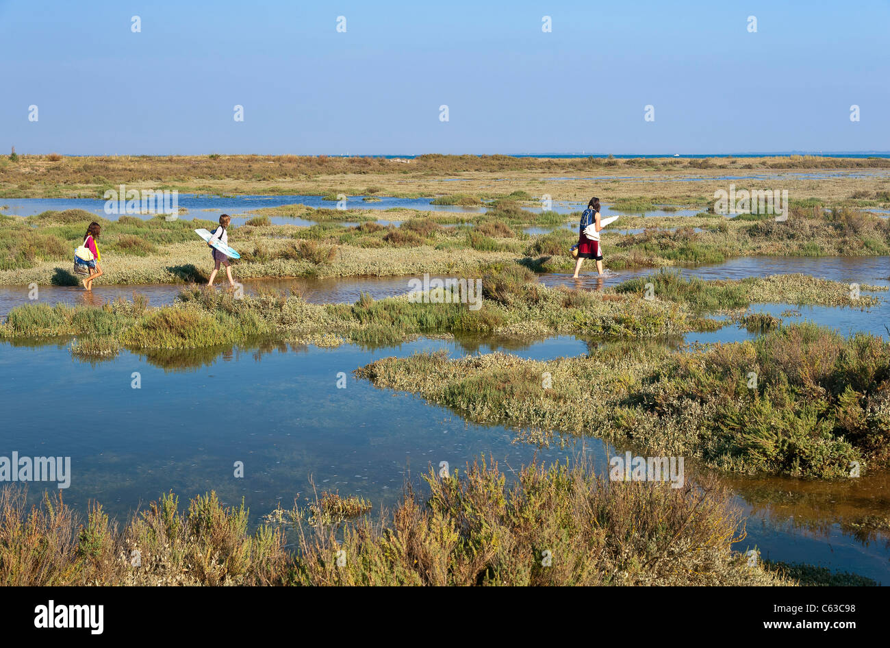 Return of beach, behind dune at hide tide Stock Photo - Alamy