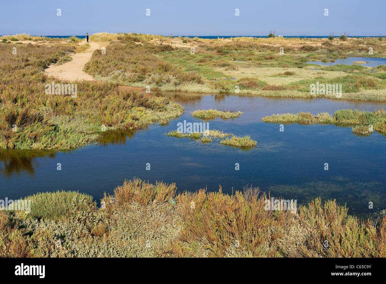 Behind dune at hide tide Stock Photo - Alamy