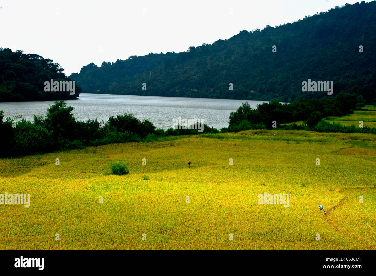 Western fields hi-res stock photography and images - Alamy