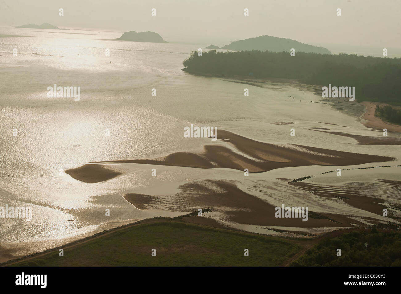 Arabian forest hi-res stock photography and images - Alamy