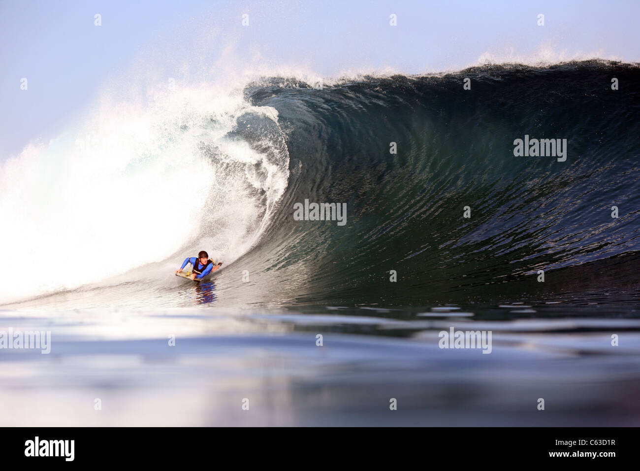 Reef Surfing Wallpaper