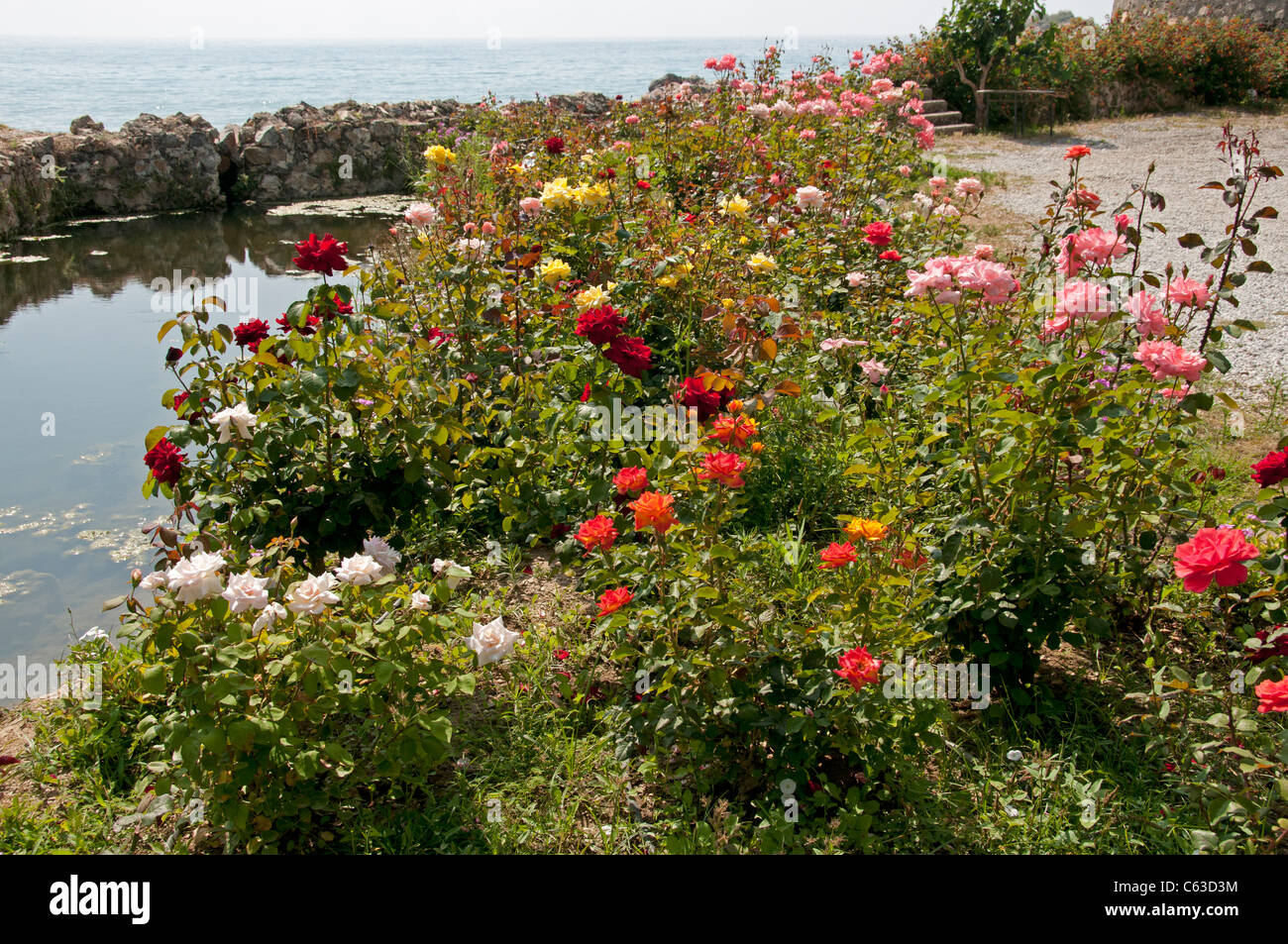 Rose castle castle hi-res stock photography and images - Alamy