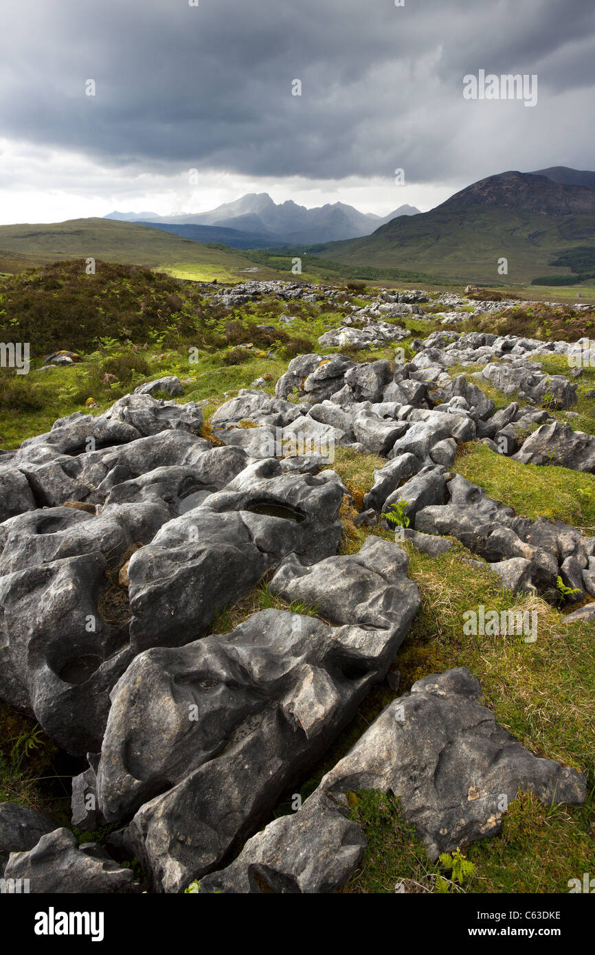 Clints grikes in limestone pavement hi-res stock photography and images ...