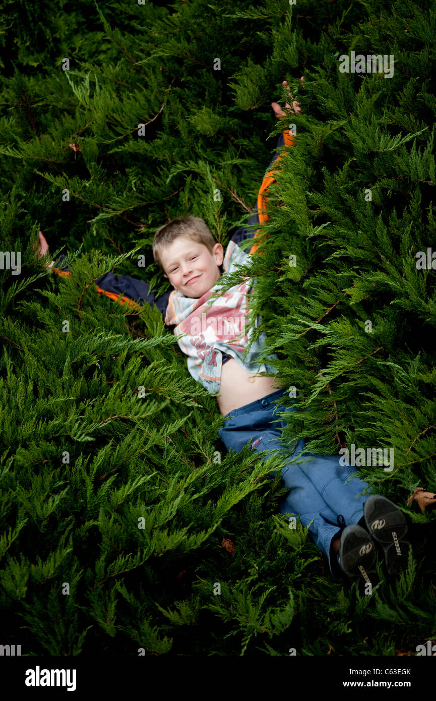 boy jumping into branches Stock Photo - Alamy
