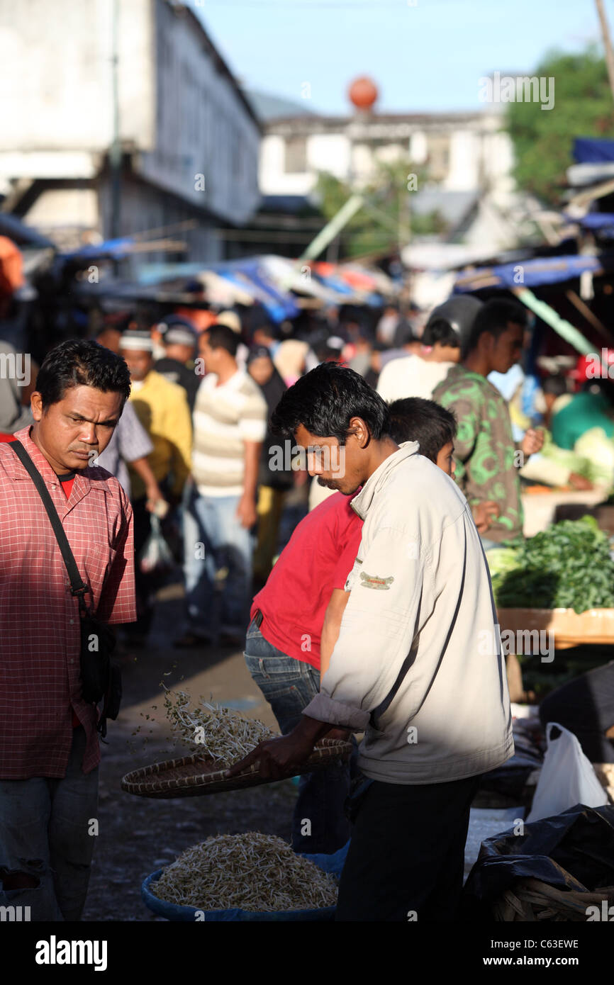 Early morning activity at the central market. Banda Aceh, Aceh, Sumatra ...