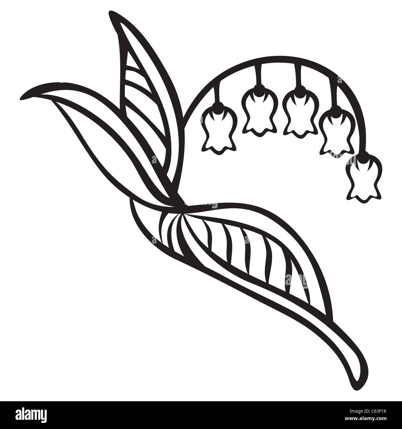 Lily of the valley Stock Photo - Alamy