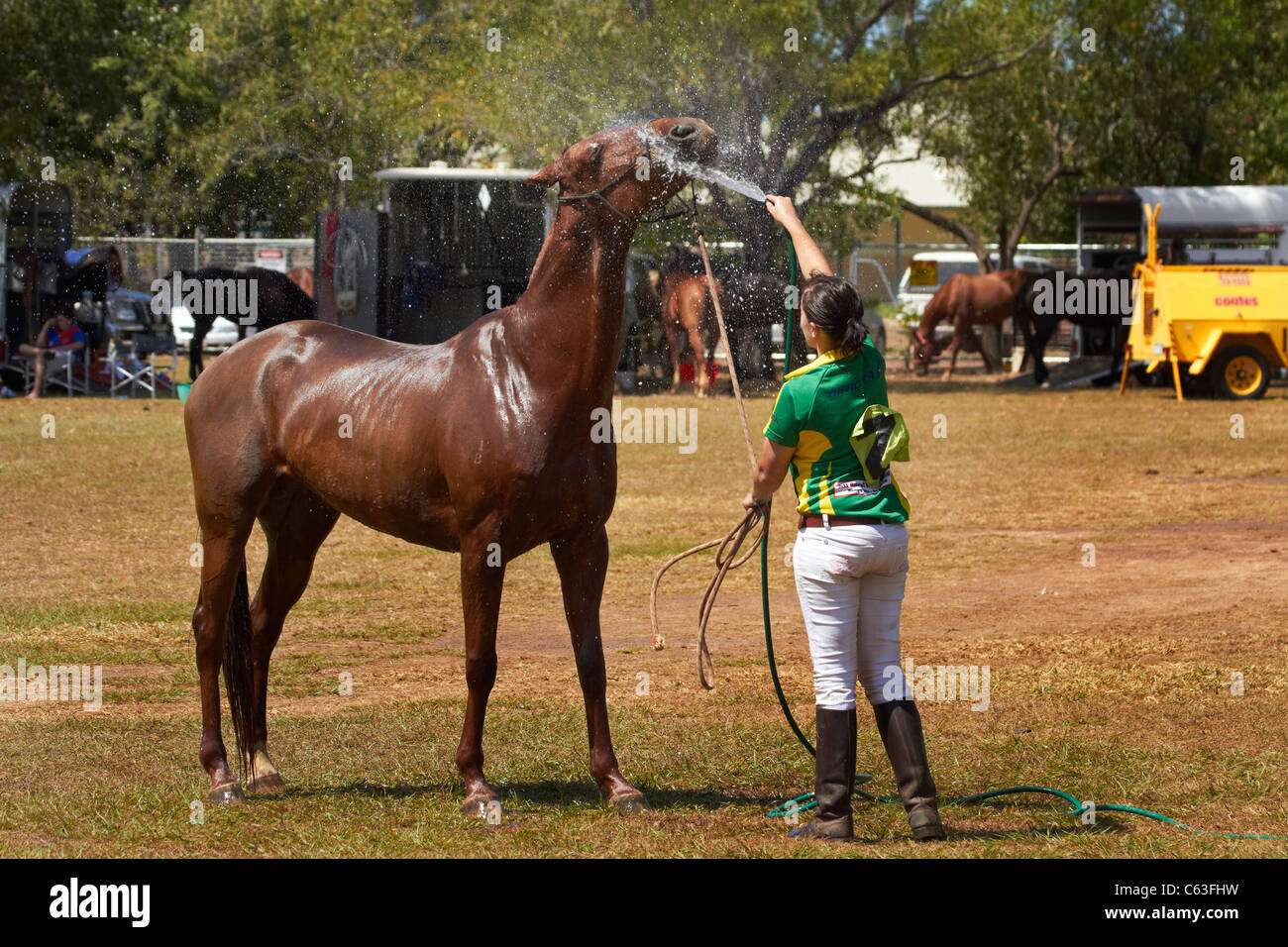 Polocrosse rider cooling horse, annual Freds Pass Rural Show, near ...