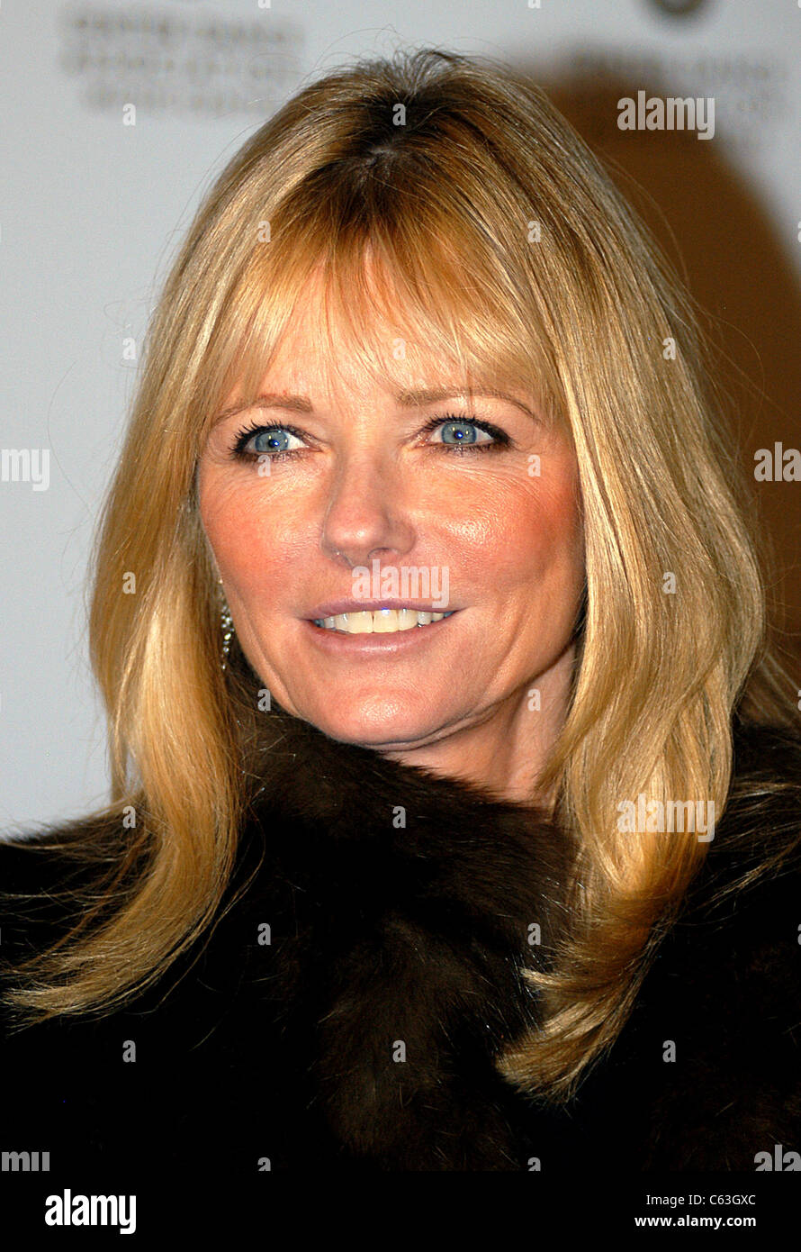 Cheryl tiegs hi-res stock photography and images - Alamy