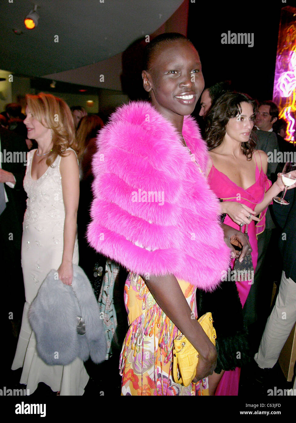 Alek Wek at DIOR HOSTS THE GUGGENHEIM MUSEUM'S YOUNG COLLECTORS COUNCIL ...