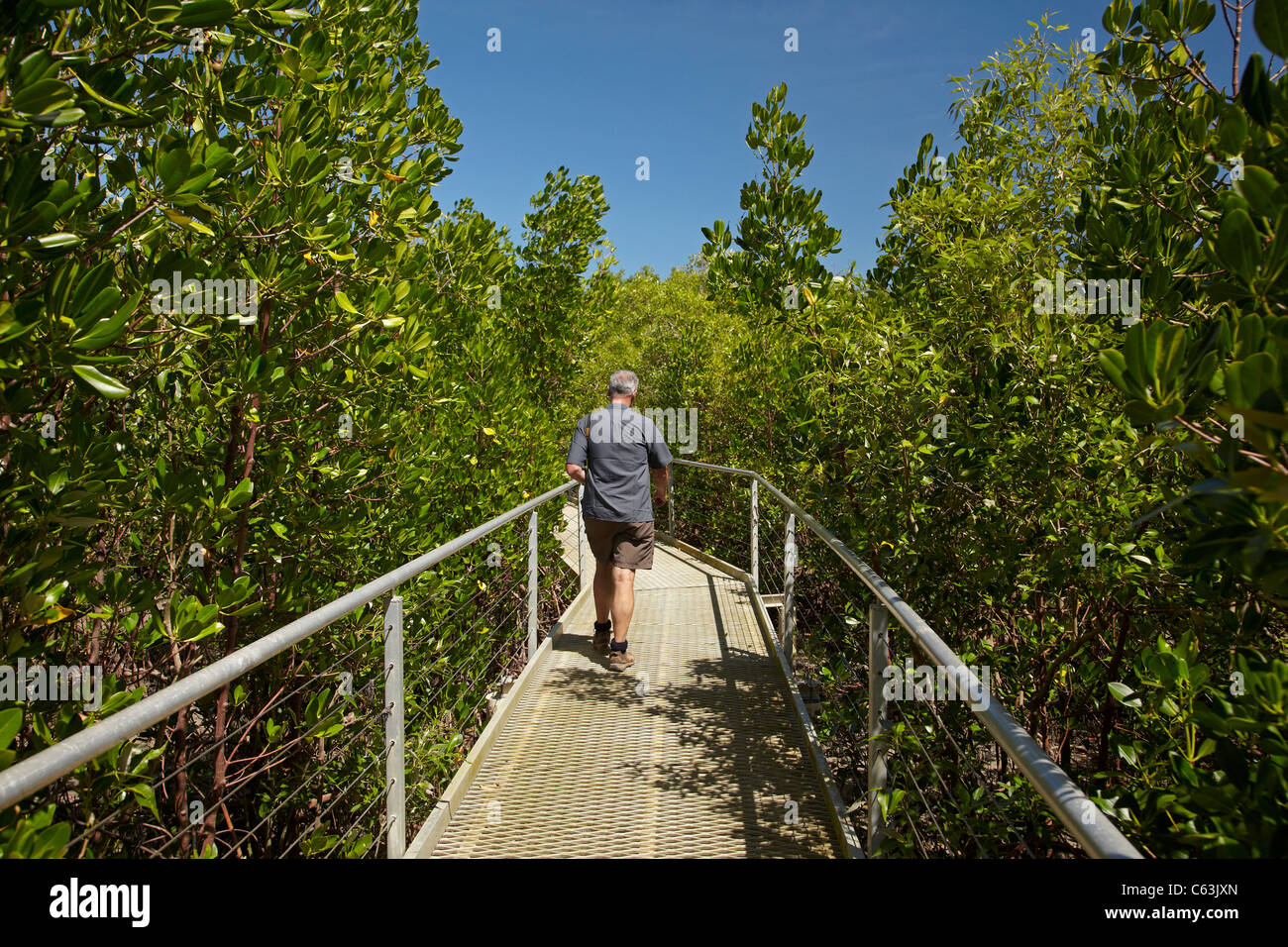 Mangrove Boardwalk, East Point Recreation Reserve, Darwin, Northern ...