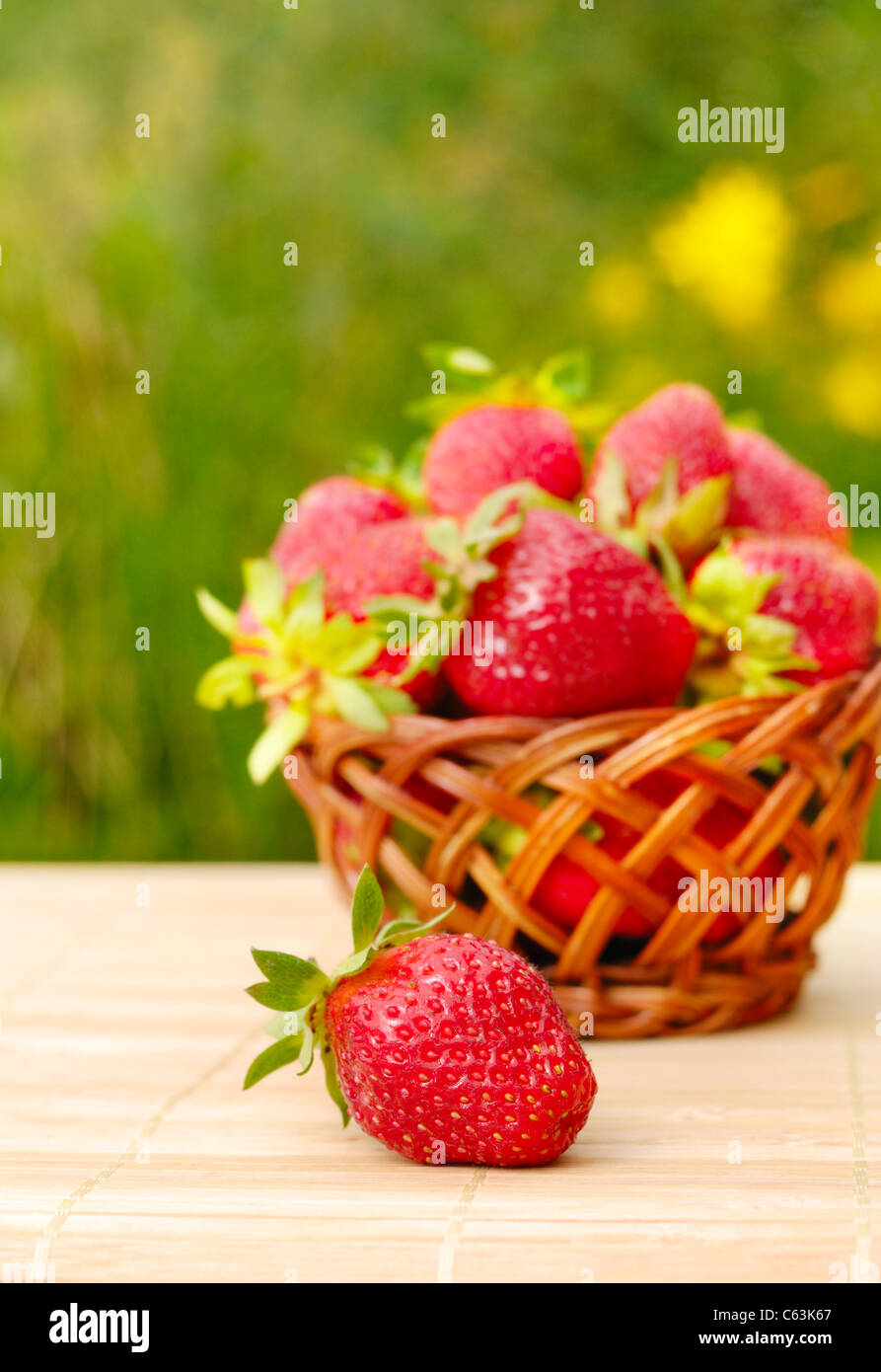Just picked strawberries in a basket Stock Photo - Alamy