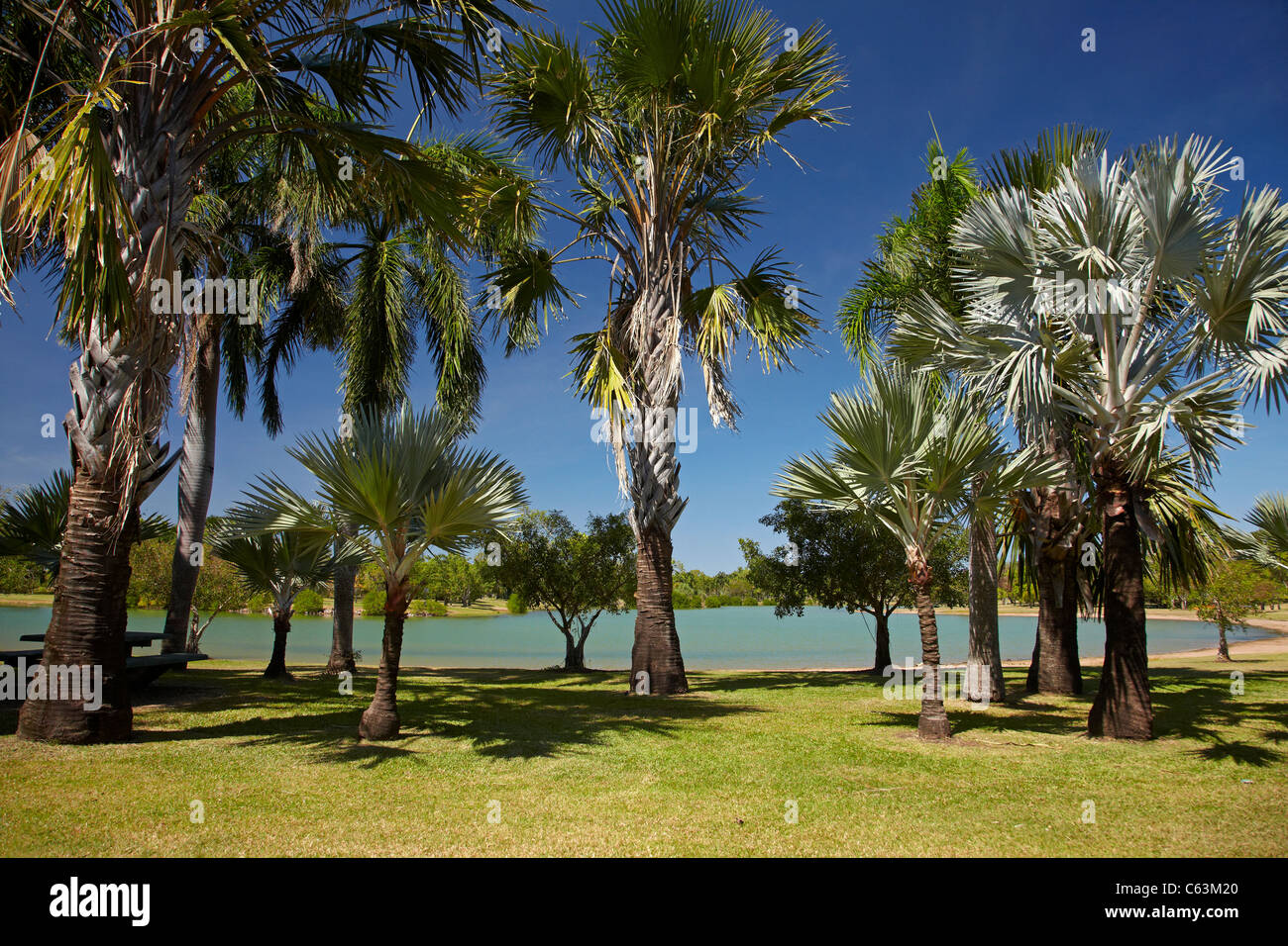 Lake darwin hi-res stock photography and images - Alamy