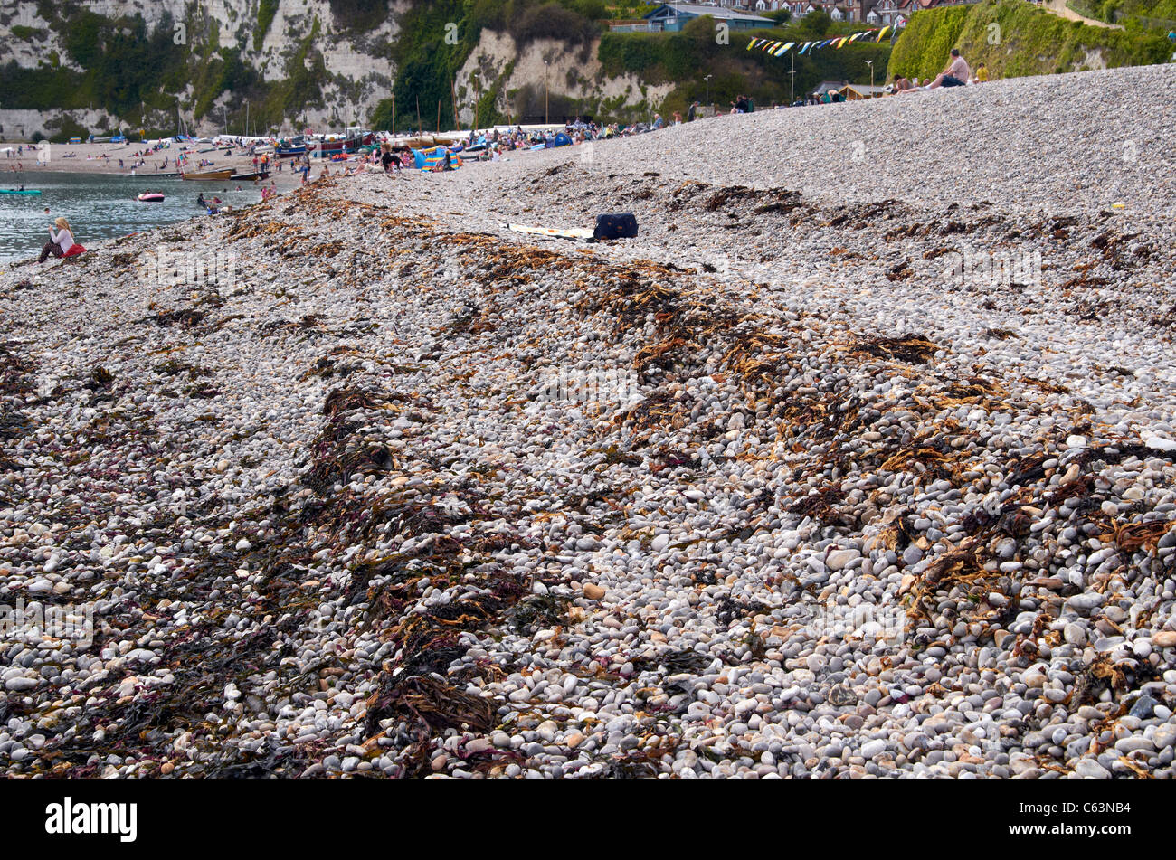 Storm ridges at the eastern end of the shingle beach at Beer, Devon ...