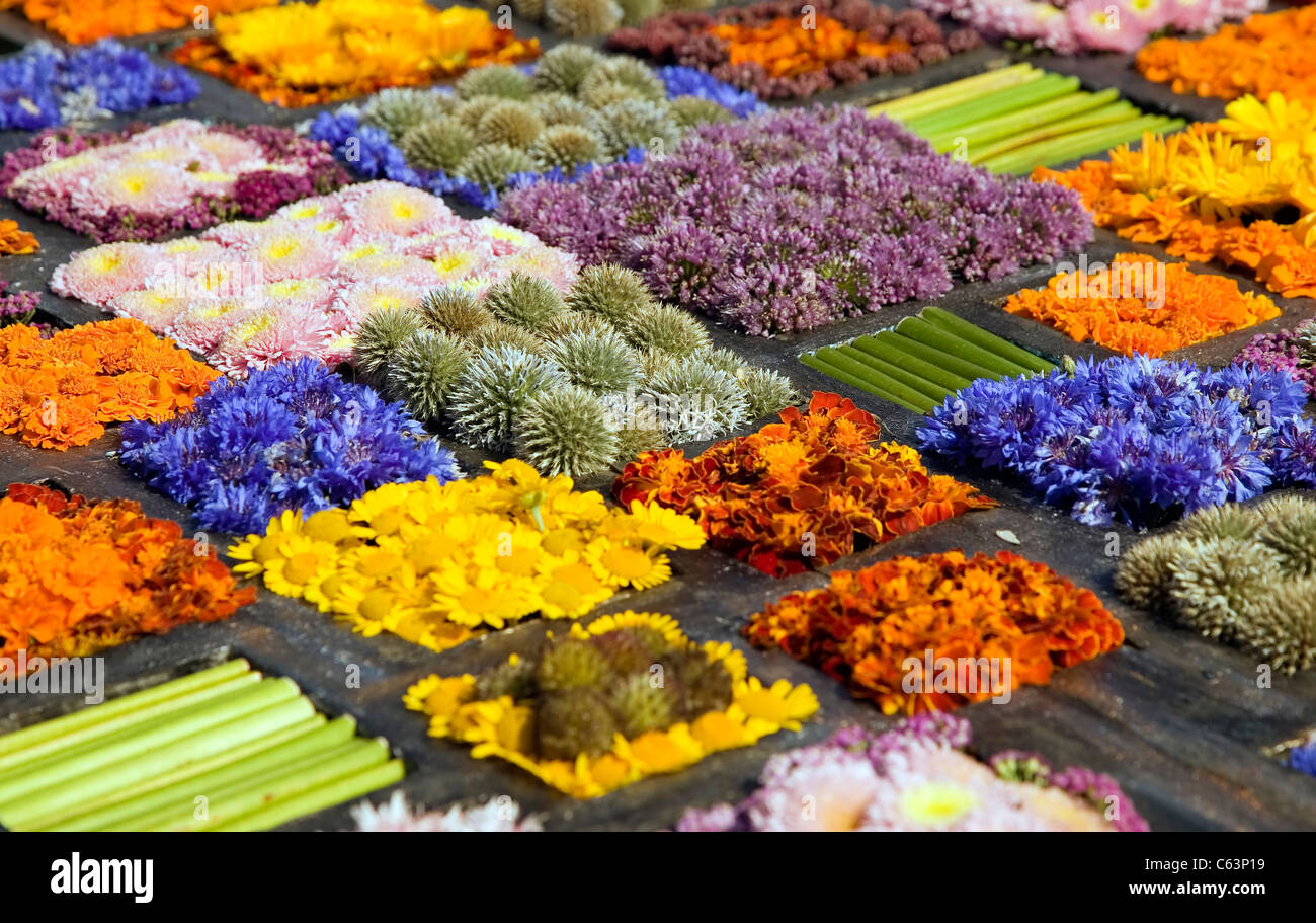 Texture of many different flowers, beautiful and creative art of nature ...