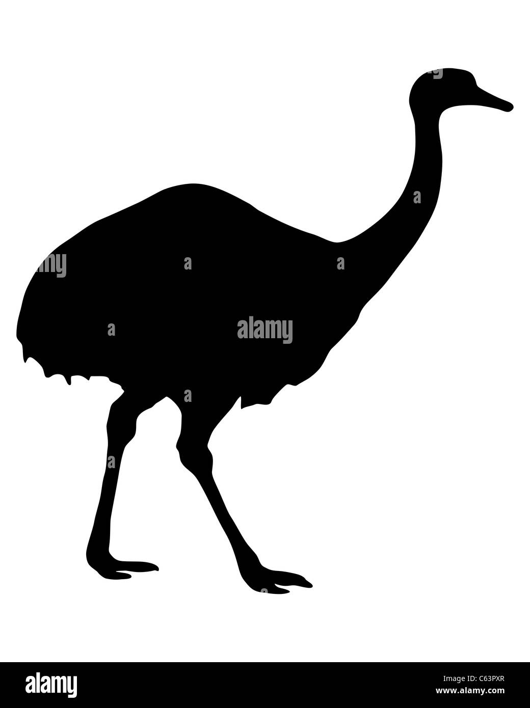 Greater Rhea Silhouette Stock Photo - Alamy