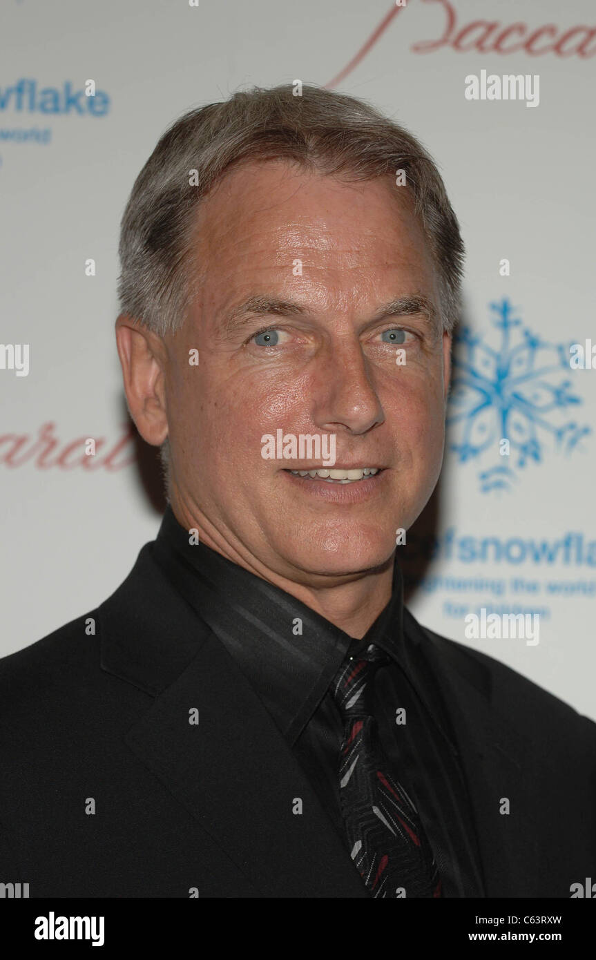 Mark Vines's Instagram, Twitter & Facebook on IDCrawl