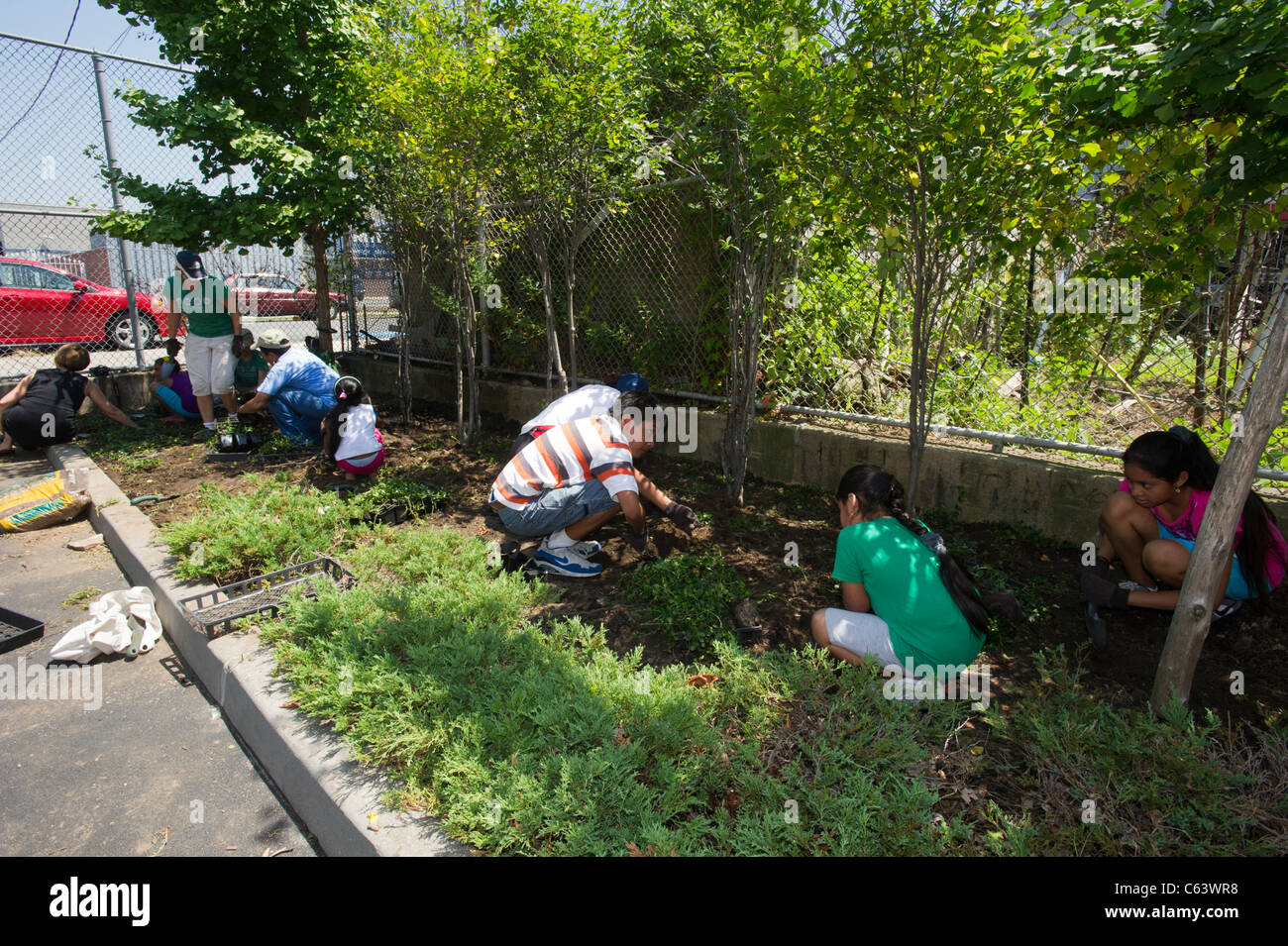 Environmental mulch mulching hi-res stock photography and images - Alamy