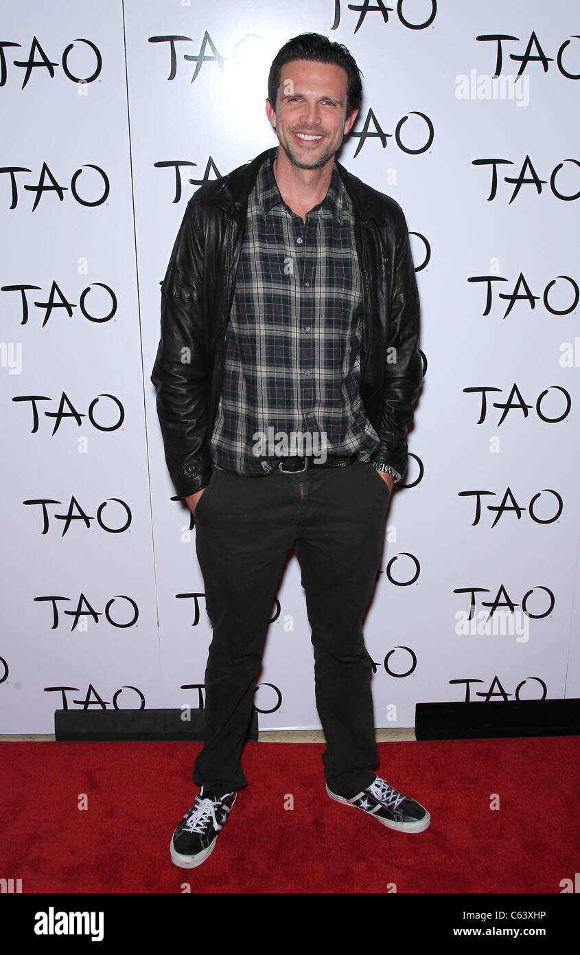 Ashley Hamilton Dancing With The Stars