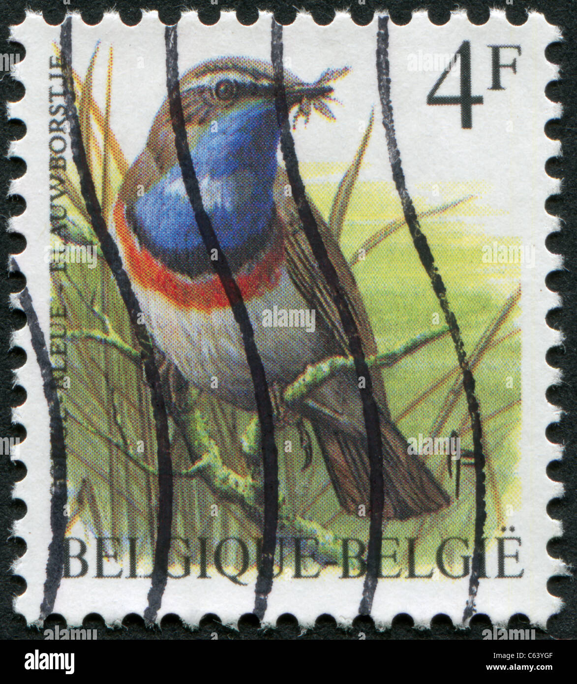 BELGIUM - 1989: A stamp printed in Belgium, depicts a bird Bluethroat ...