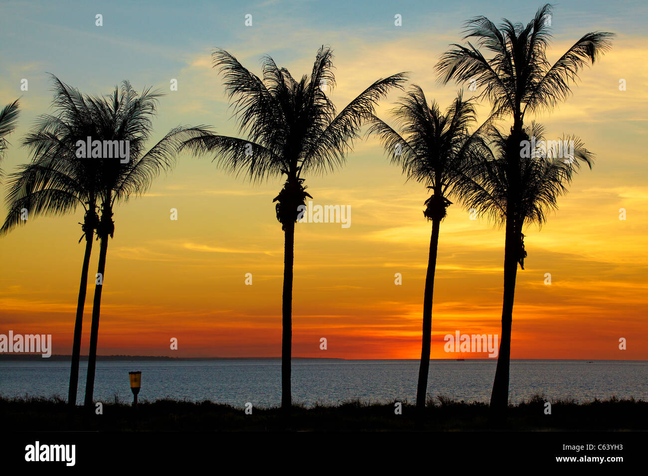 Palm trees sunsets hi-res stock photography and images - Alamy
