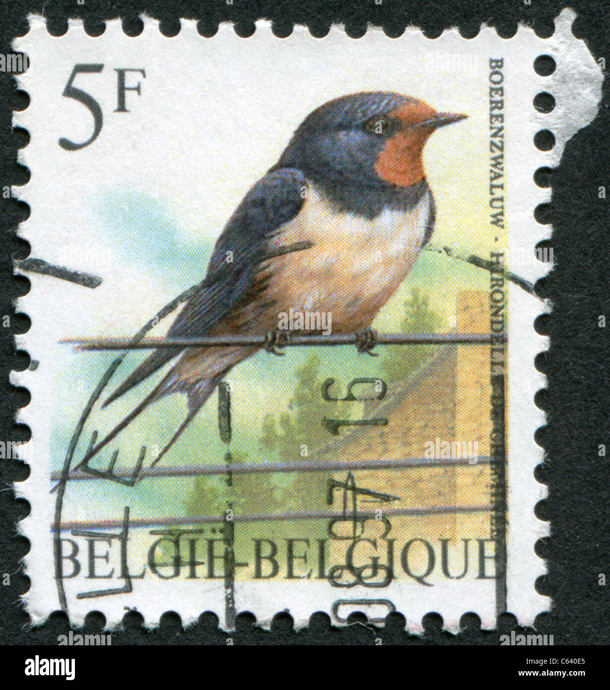 BELGIUM - 1992: A stamp printed in Belgium, depicts a bird Barn Swallow ...