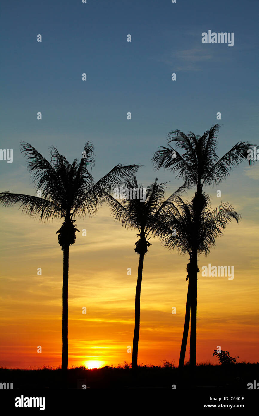 Sunset darwin nt hi-res stock photography and images - Alamy