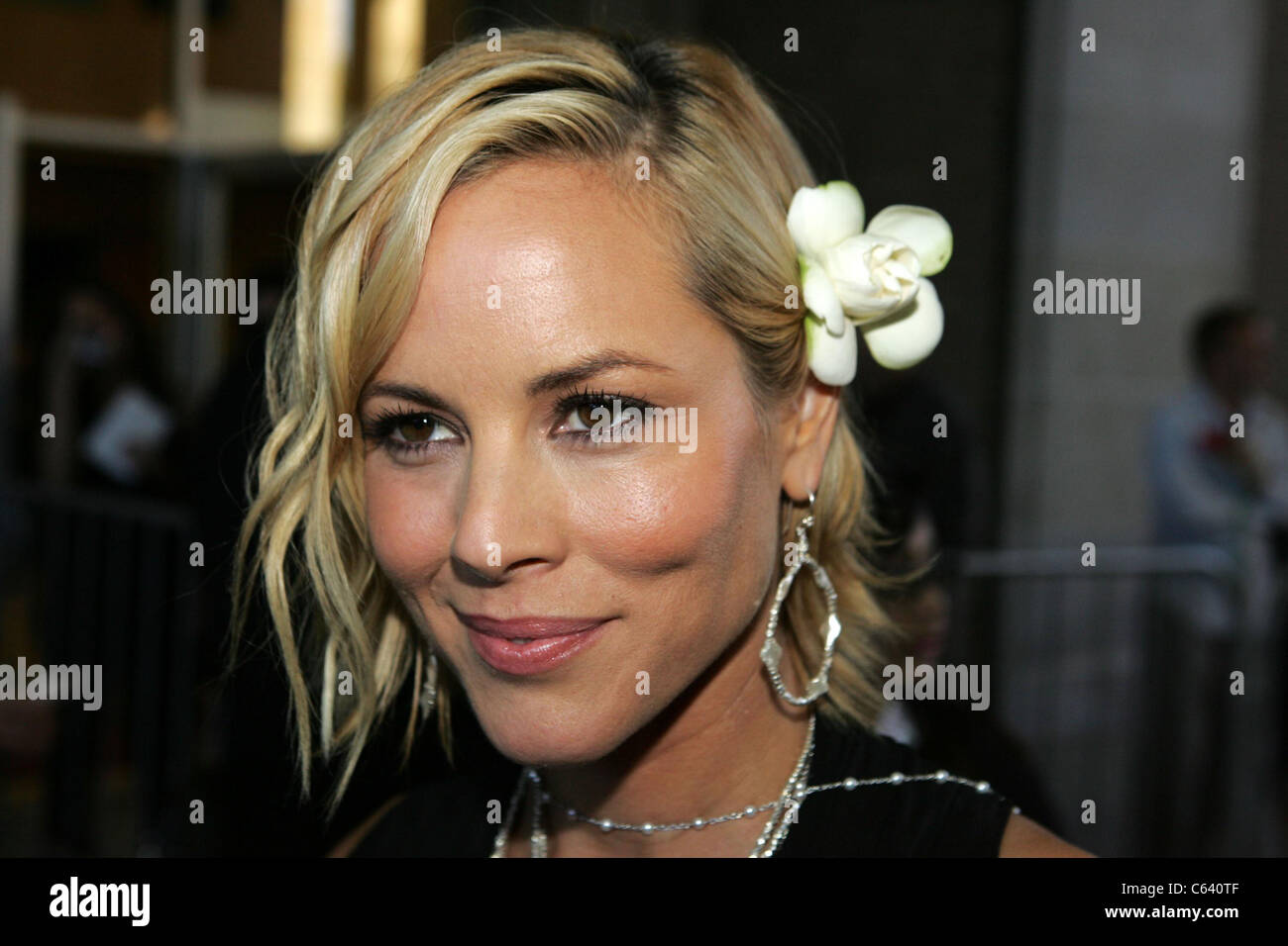 Re premiere ryerson theatre at arrivals red carpet malcolm taylor hi ...