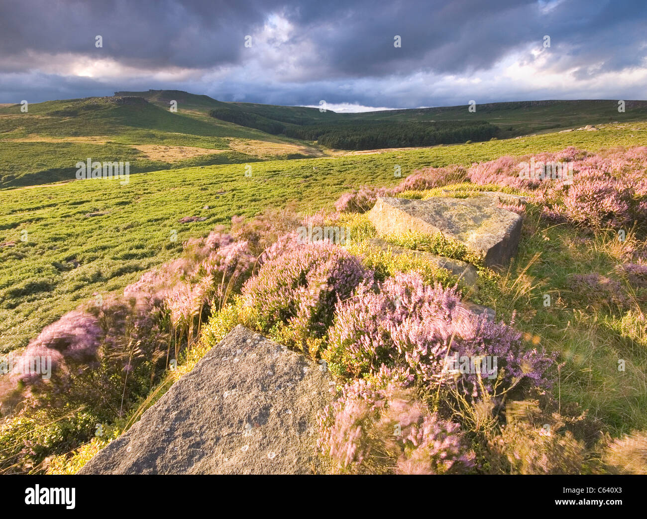 The Burbage Valley towards Carl Wark and Higher Tor - Peak District ...