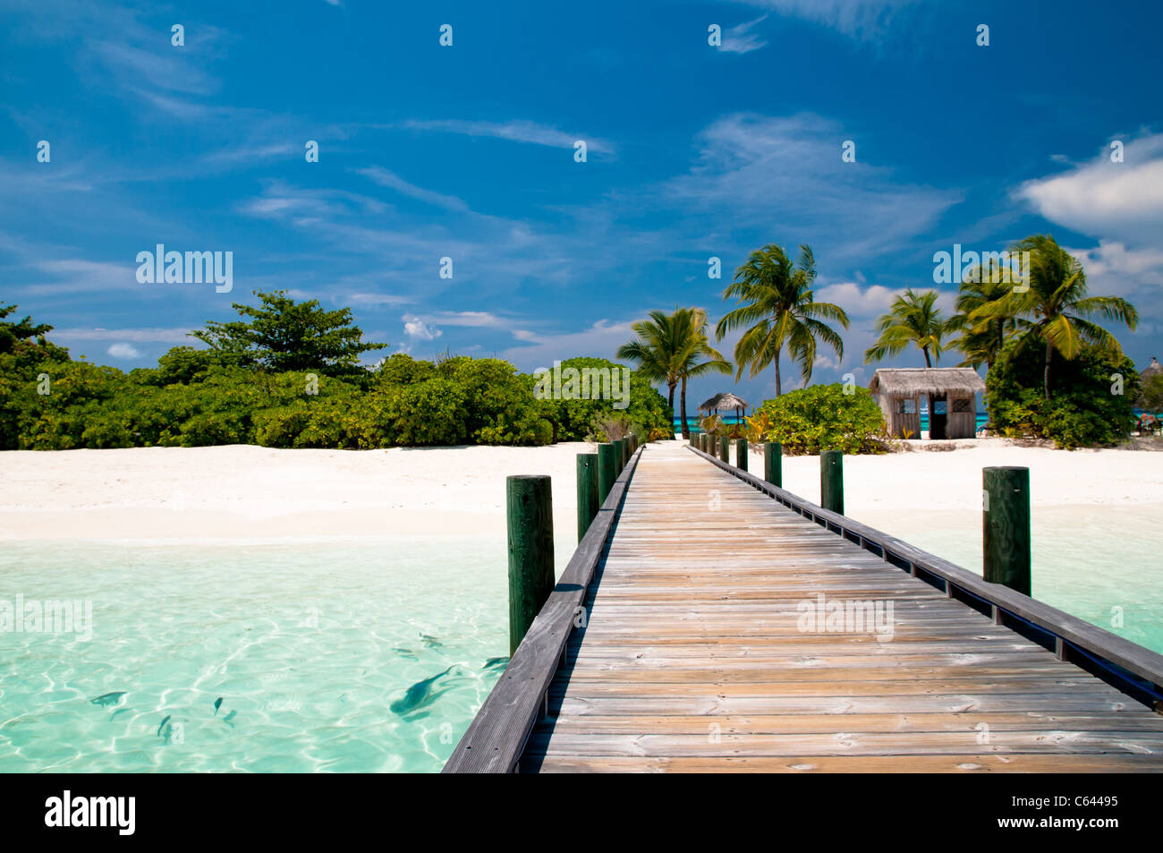 jetty to a tropical beach Stock Photo - Alamy