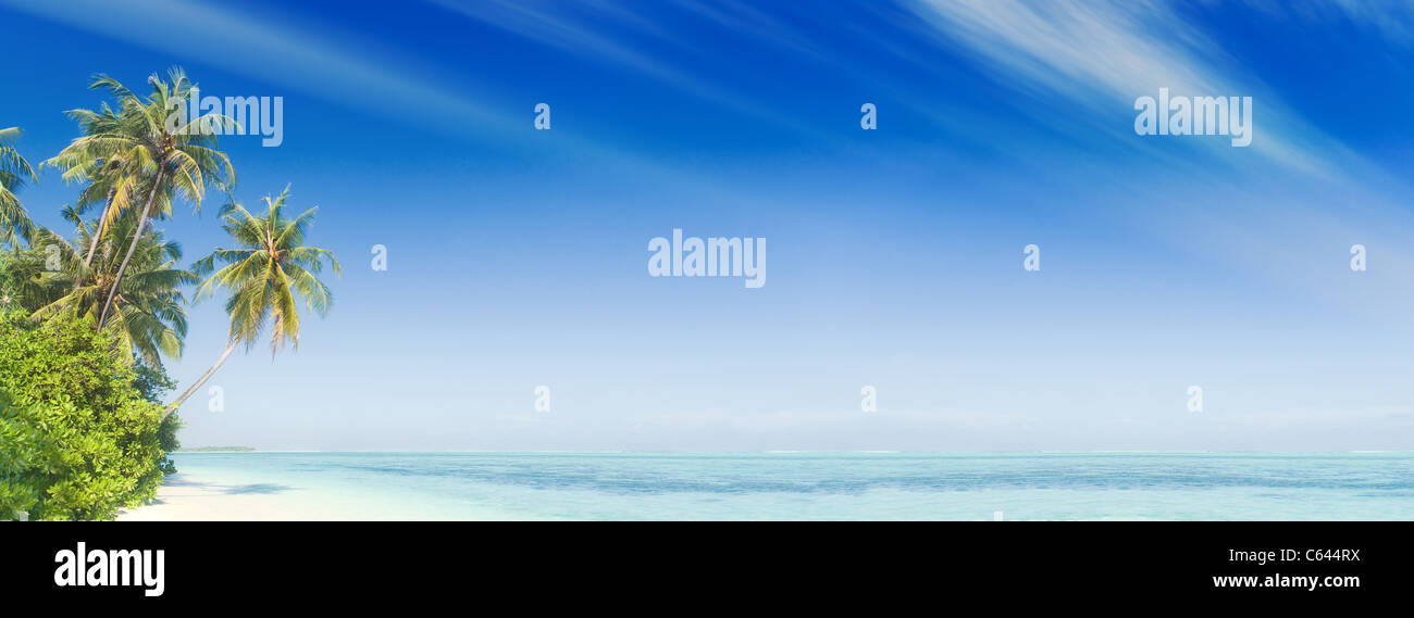 Strand palmen panorama hi-res stock photography and images - Alamy