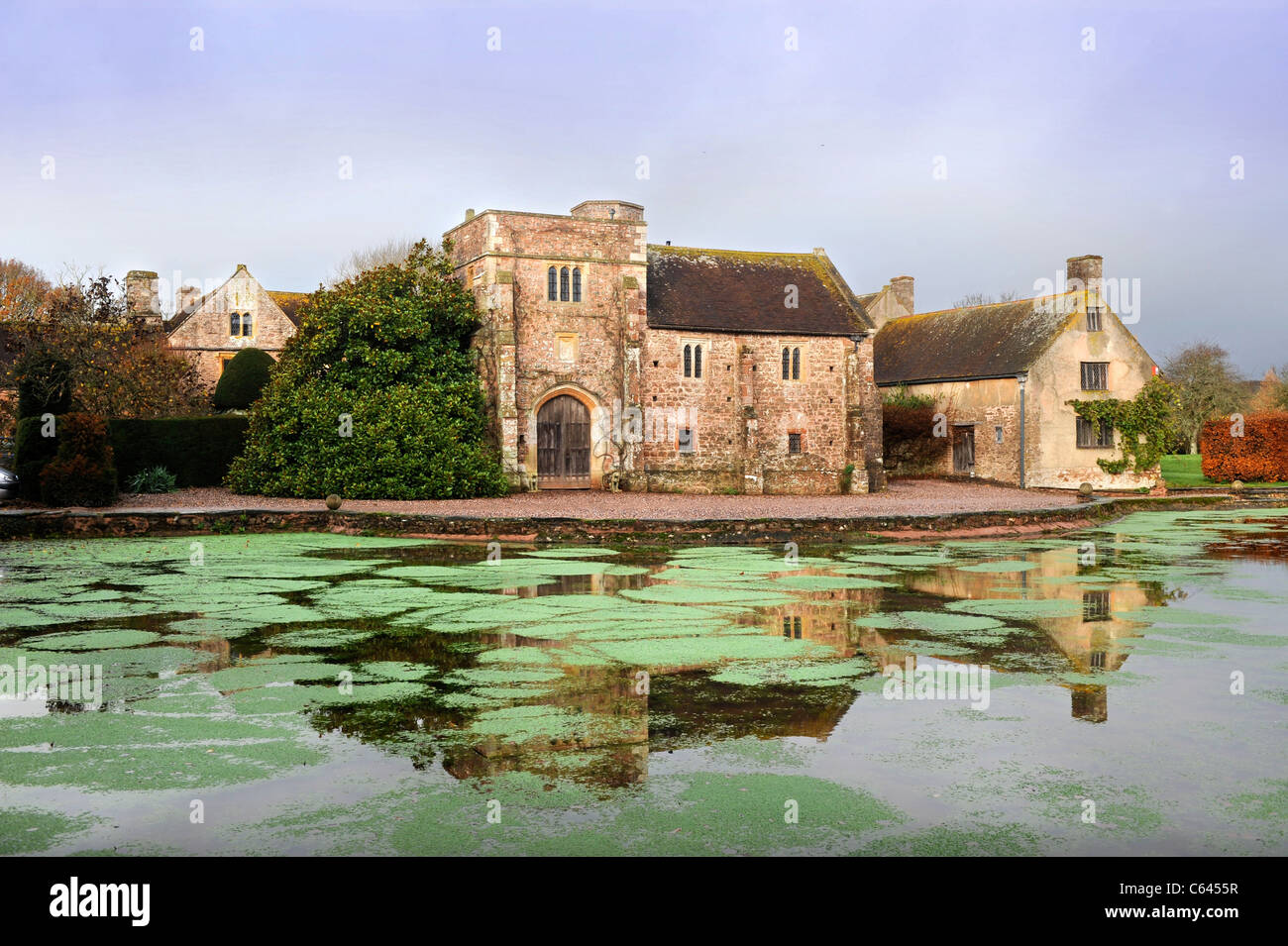 Cothay Manor near Wellington, Somerset UK Stock Photo - Alamy