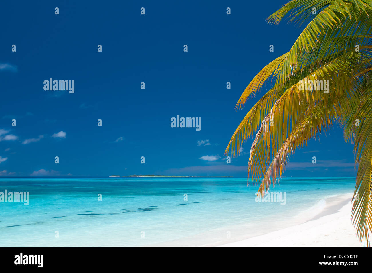 beautiful unspoilt tropical beach Stock Photo - Alamy
