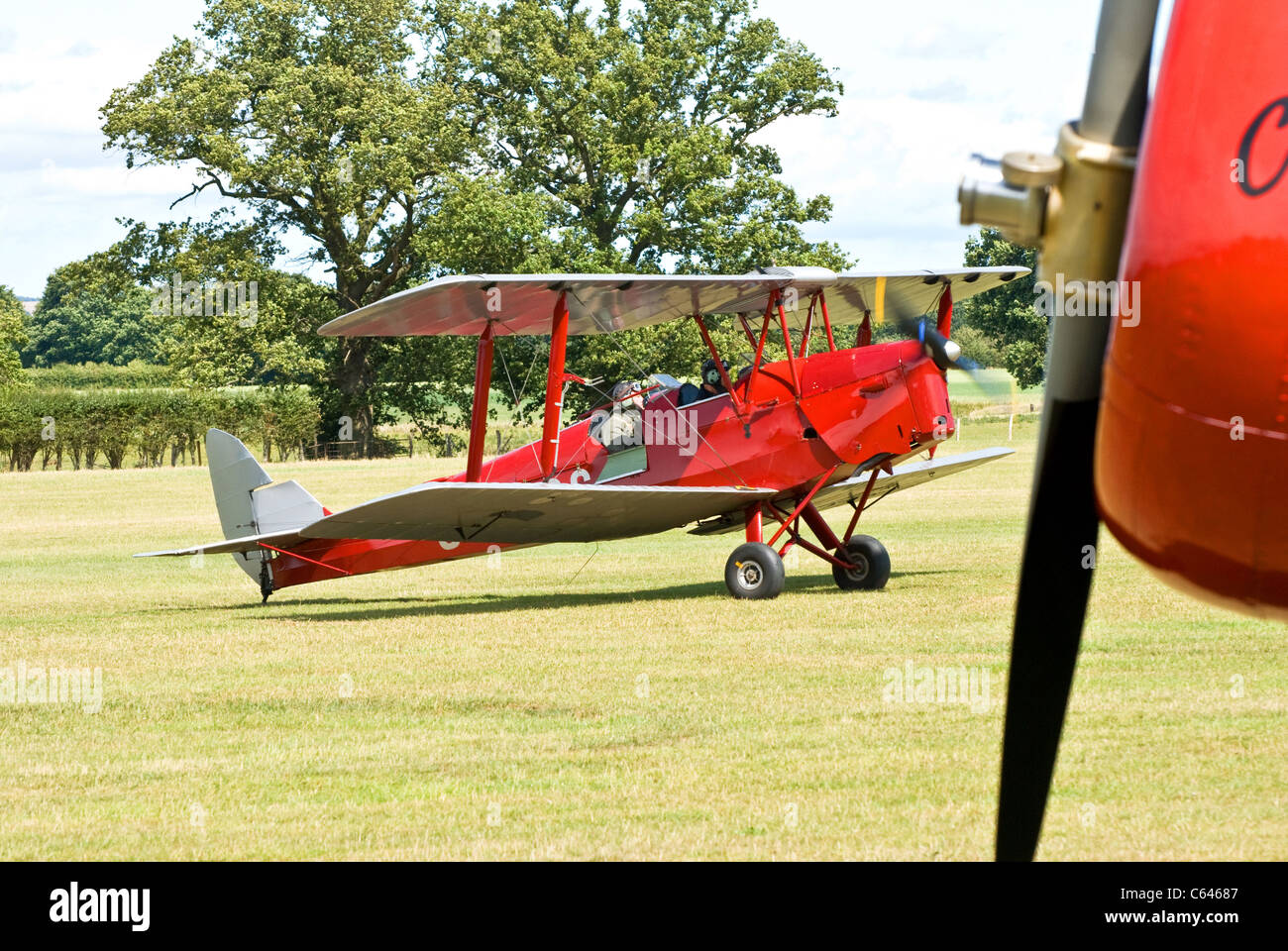 Tiger Moth bi-plane Stock Photo - Alamy