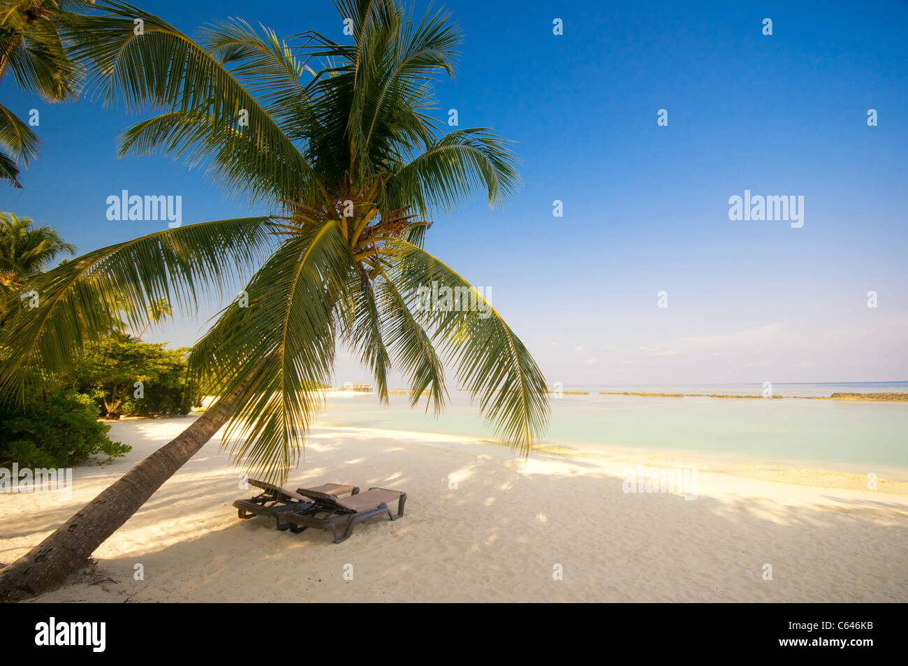 deck chair under a palm-tree on a tropical beach Stock Photo - Alamy