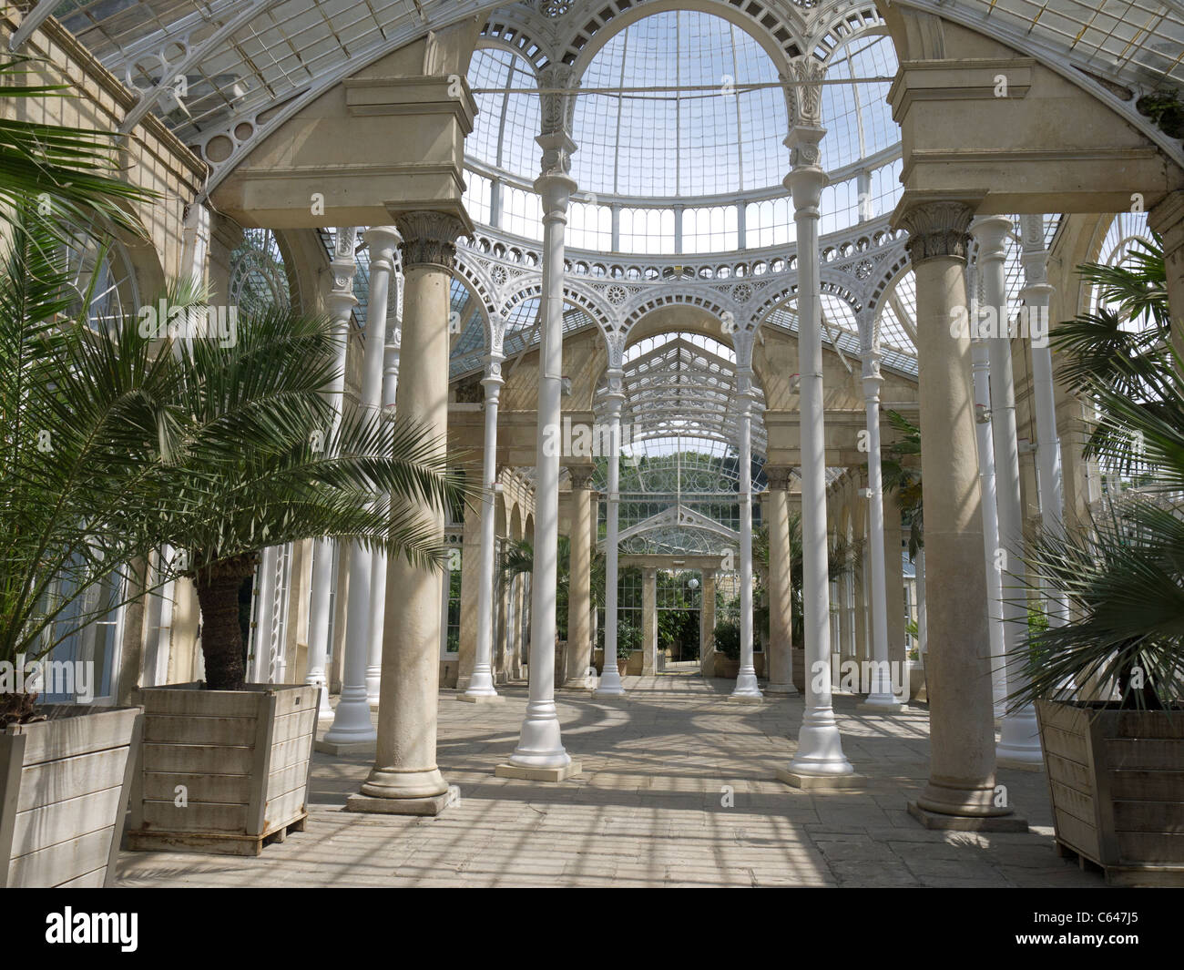 interior of the Great Conservatory at Syon Park built by Charles Fowler ...