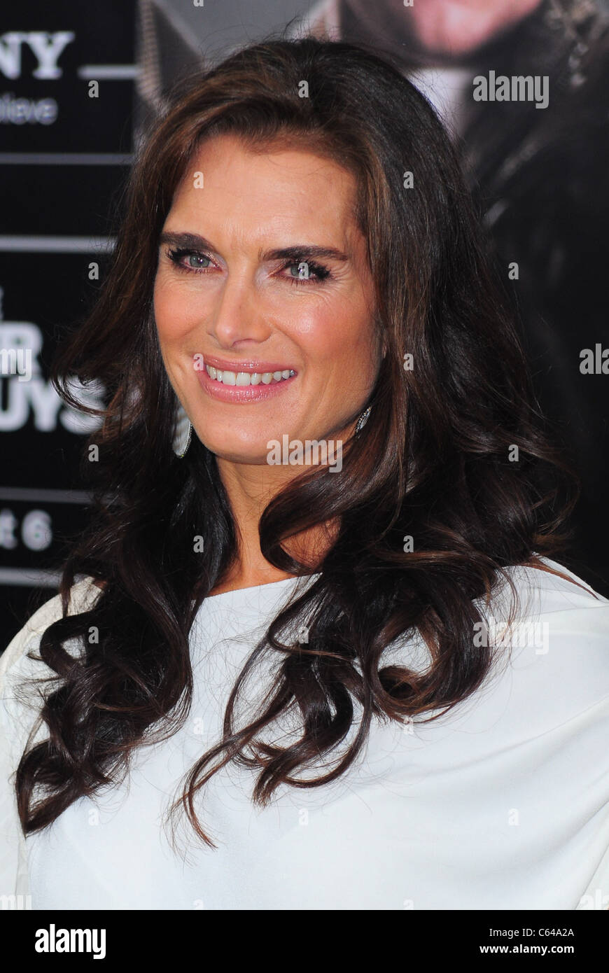 Brooke Shields at arrivals for THE OTHER GUYS Premiere, The Ziegfeld ...