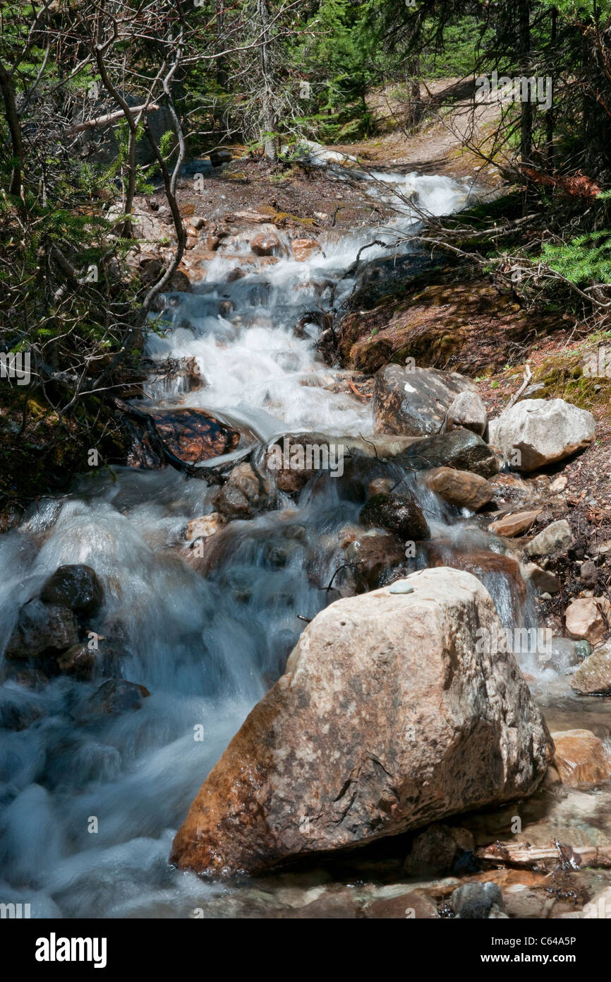 A vertical shot of a small mountain stream flowing over rocks and ...