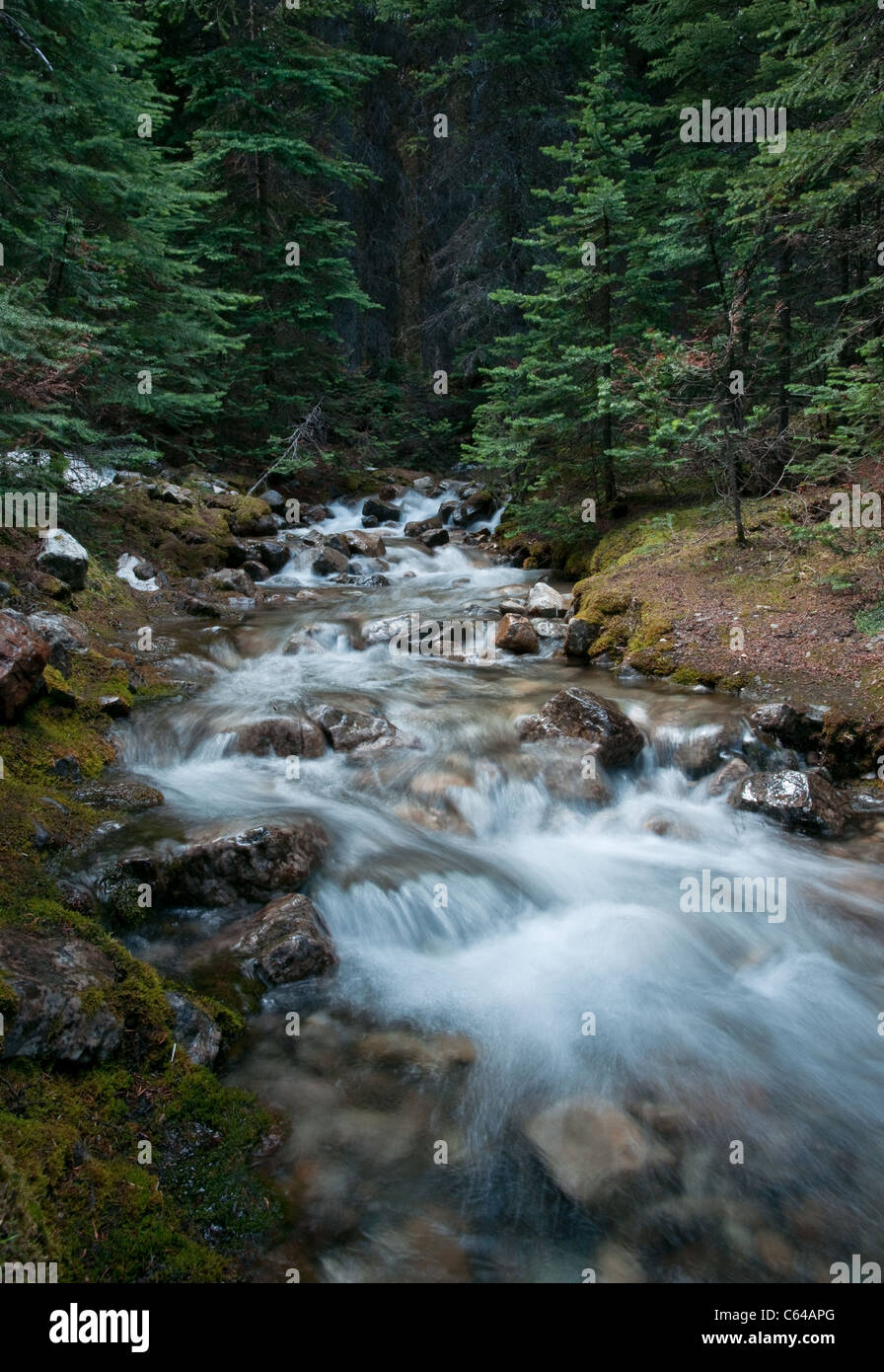 Water streaming down rocks hi-res stock photography and images - Alamy