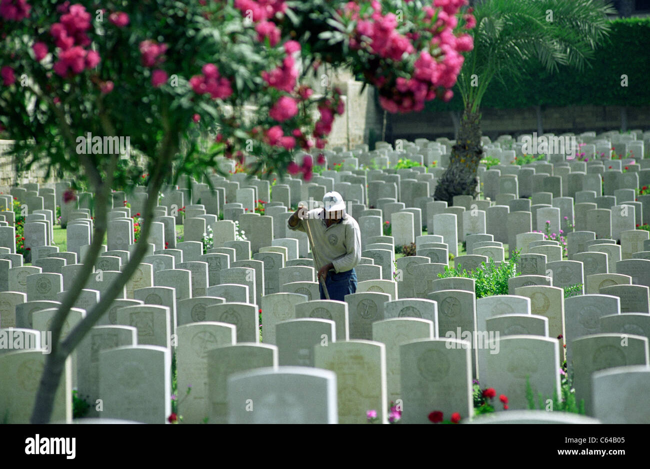 Chatby Cemetery, Alexandria,Egypt. Maintained by the Commonwealth War ...